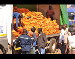 Data poverty drives Africa’s perpetual food insecu...