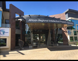 CIPZ, ARIPO, AfrIPI push for awareness of IP right...