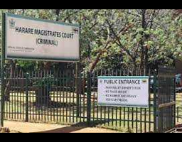 Last King director Shingai Muringi in court for fr...