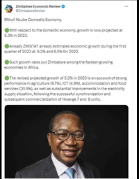 Mthuli Ncube says Zim has one of fastest growing e...