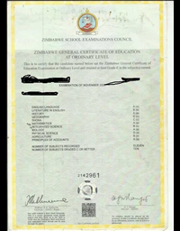 Woman fakes 'O' Level results in bid to become a c...