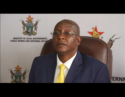 Ziyambi Ziyambi loses, again