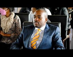 Chamisa blocks Linda Masarira on X