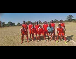 Bikita Minerals secure dramatic promotion into PSL...