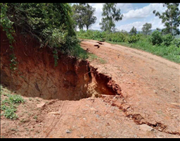 Govt halts Redwing Mine operations following disas...