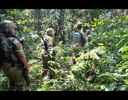 Two SA soldiers killed in DRC, 3 wounded