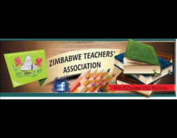 ZIMTA demands that govt improves teachers’ USD sal...