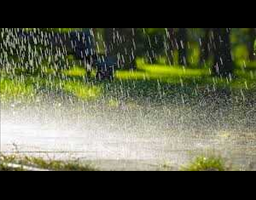 Normal rainfall predicted for upcoming cropping se...