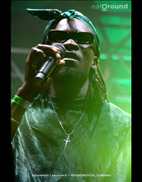 "Rhythm of Passion: Cello Culture's Journey to Dan...