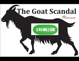 Matonga makes bail, Chimombe, Mpofu to spent weeke...