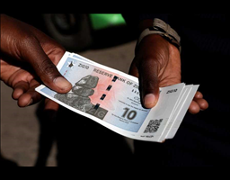 ZiG shortage sparks public anxiety, raising concer...