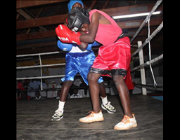 Mvurwi Turns Up the Heat in Electrifying Boxing Sh...