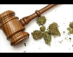 Five Nabbed Over 306kg Dagga, Broncleer Cough Syru...