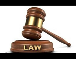 Court grants bail to Chiminya