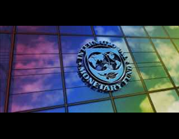 IMF Supports ZiG Currency, Calls for Reforms