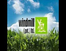Windmill Warns Public Over Fraudulent Westgate Lan...