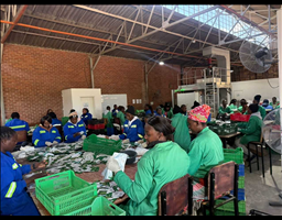 Valley Seeds Declares Full Readiness for 2025–2026...