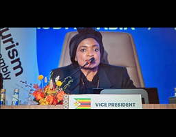 Minister Rwodzi Elected Vice President of UN Touri...