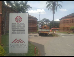 Murowa Diamond Mine office effects attached over c...