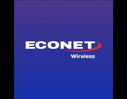 Econet Flags Undervaluation of Shares