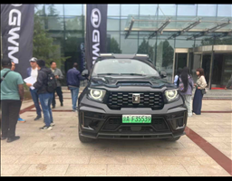 From “Zhing Zhong” to innovation: How China’s GWM ...