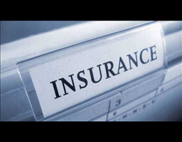 Zim’s Insurance Sector Rebounds in 2025 on Stron...