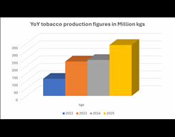 Zimbabwe’s Tobacco Industry Hits US$1.13 Billion i...