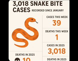Snake Bite Toll Hits 3,018 With 10 Deaths Reported