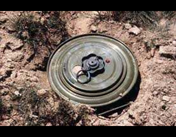 Ladmine Explosion Claims Three Lives in Binga