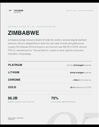 Zimbabwe Positioned at Centre of Africa's Critical...