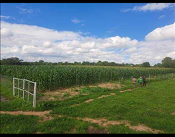 Inside Nkayi’s Chibini Village Enterprise